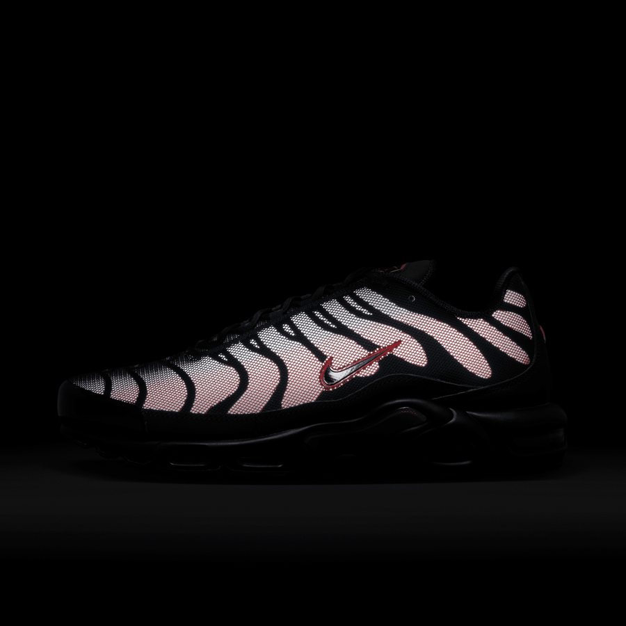 Nike Air Max Plus - SoleFly